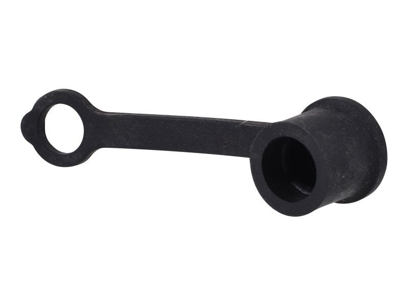 CAP,DUST PARKER PD TEST POINT – Skyworks LLC